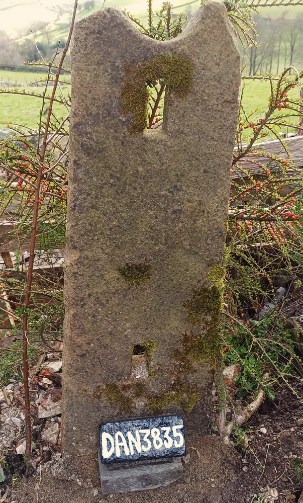 DAN 3835 - Standing Stones For Sale